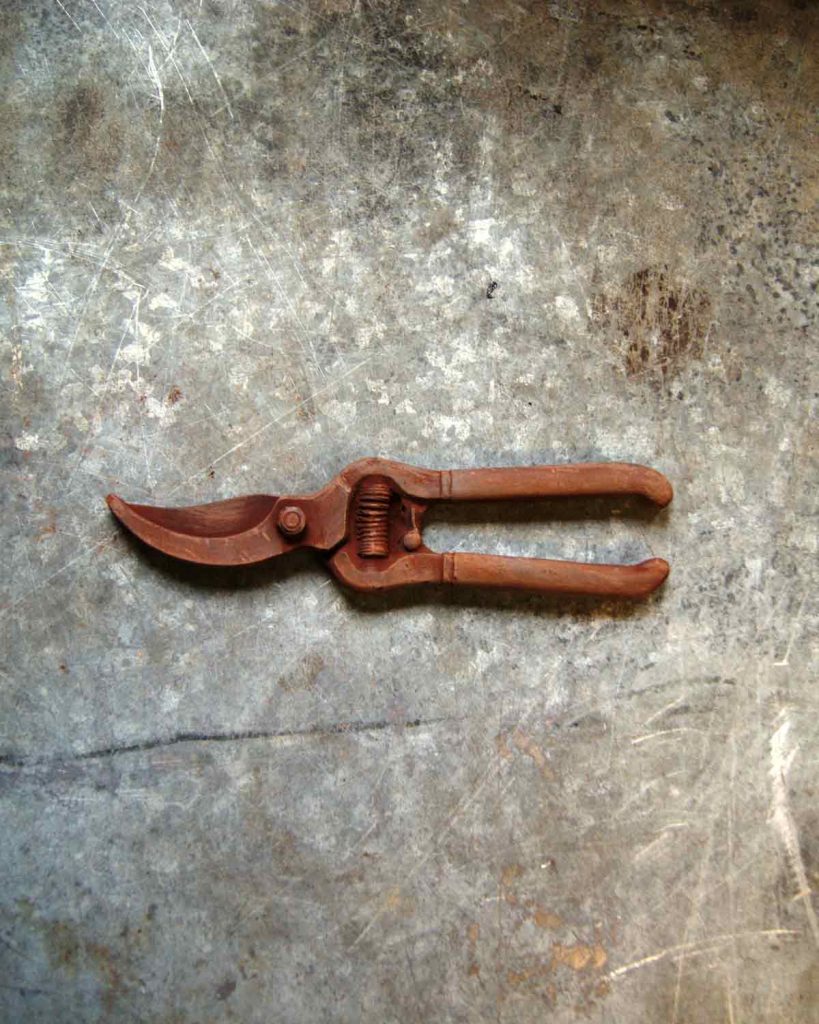 chocolate-secateurs - The Amazing Chocolate Workshop